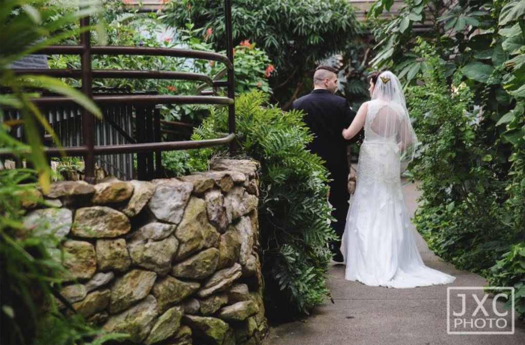 Wings Of The Tropics