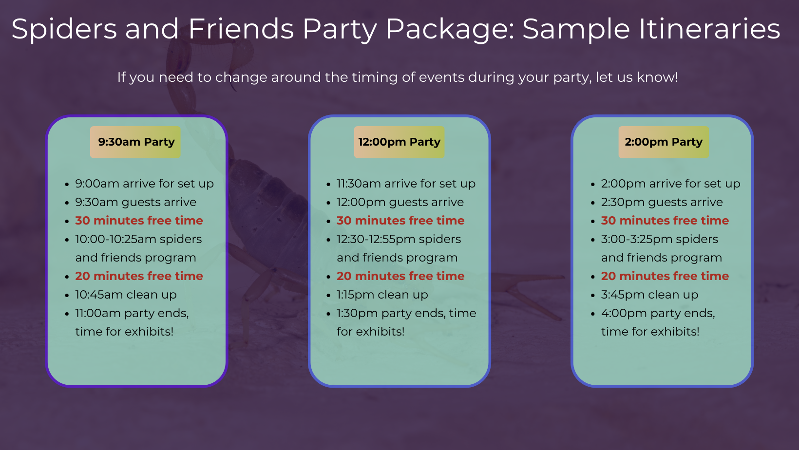 Spiders and Friends Party Package