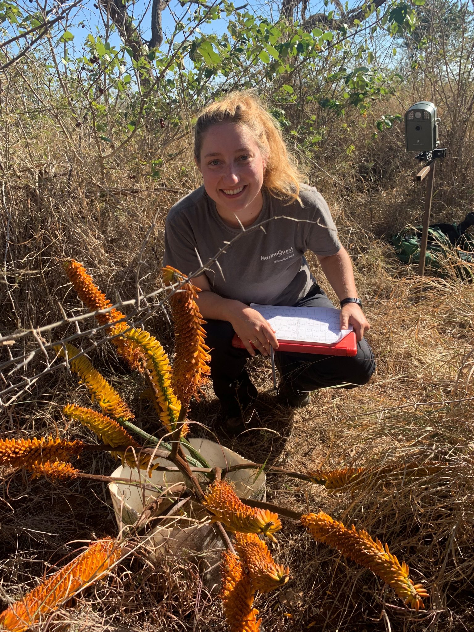 Meet Our Beekeeping Experts | Learn from Master Beekeepers
