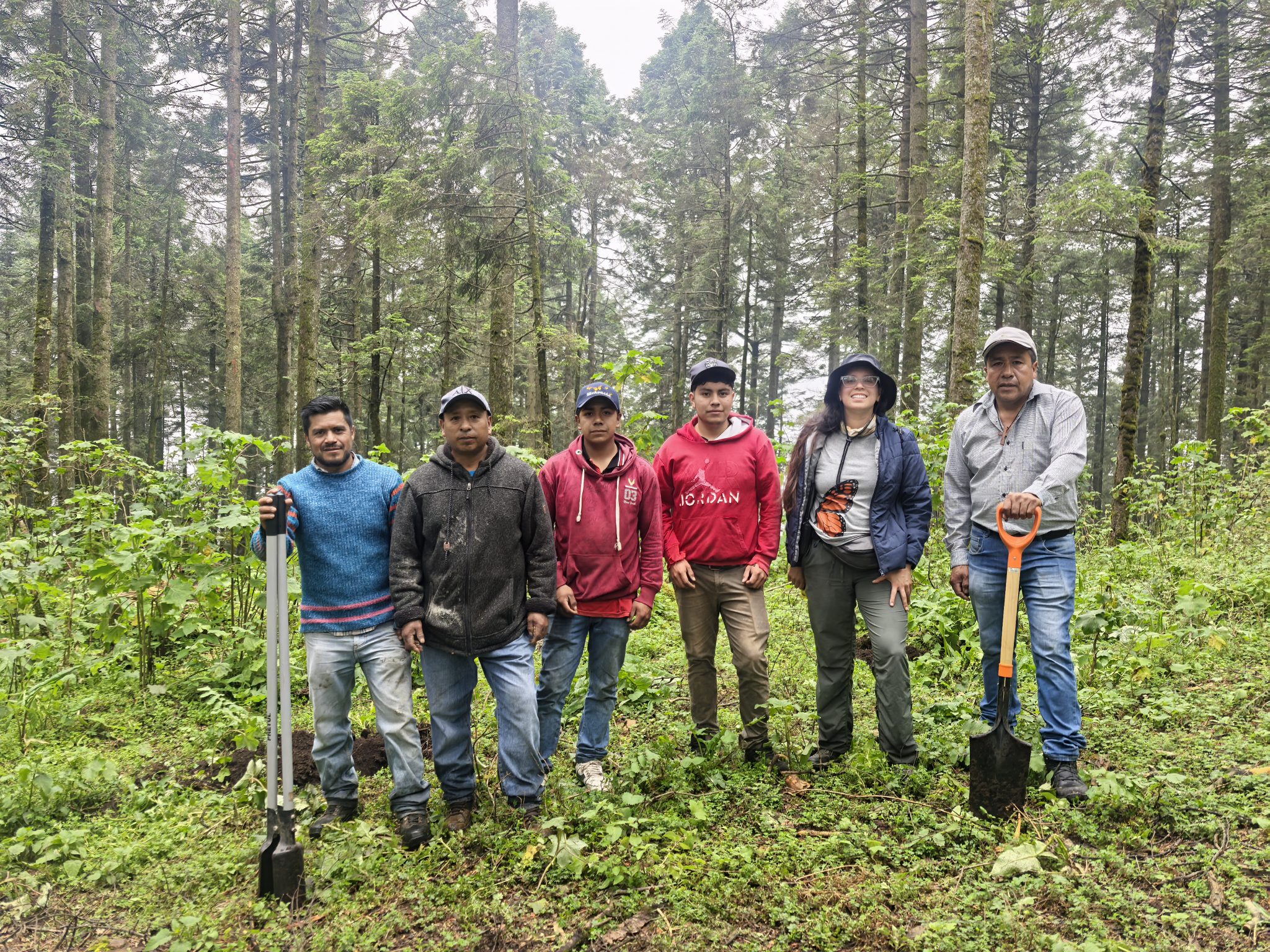 Monarch Butterfly Conservation