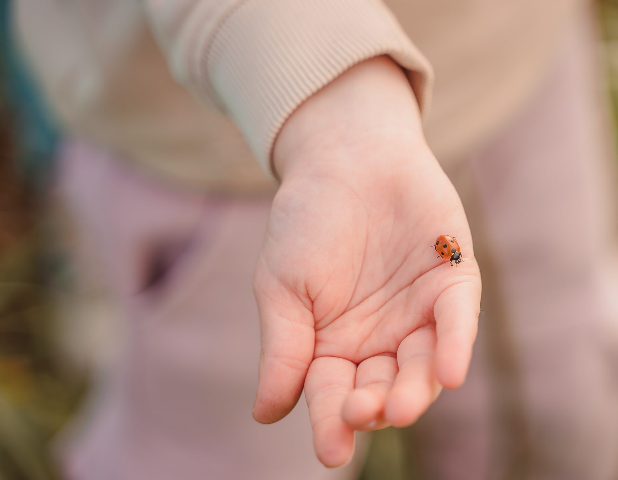 Why Early Nature Experiences Matter